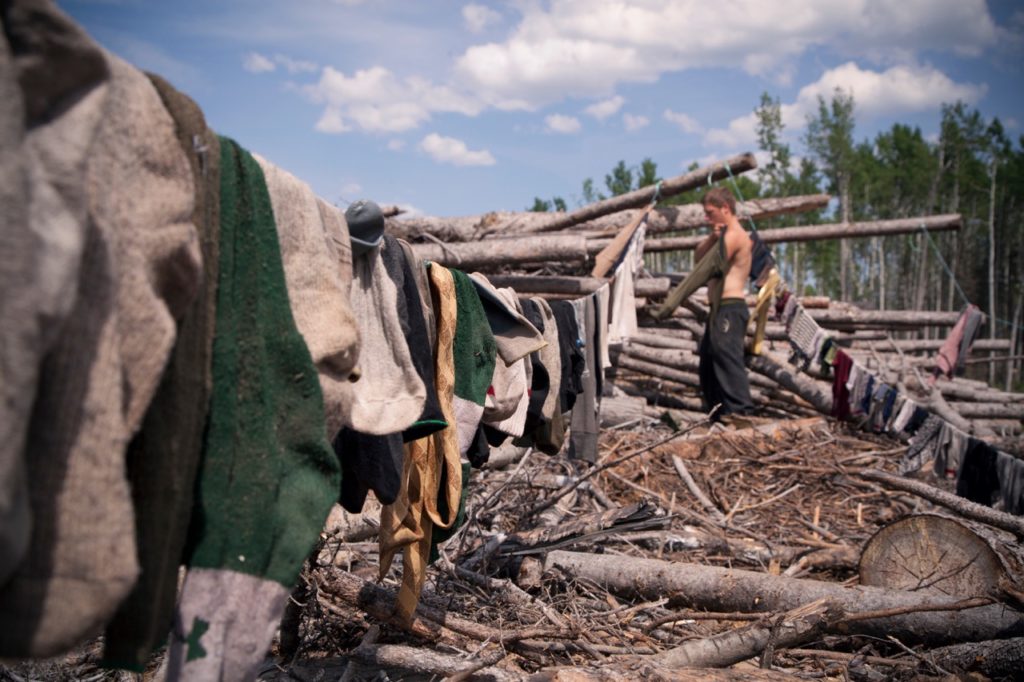 The Basics of Tree Planting – Tree-Planter