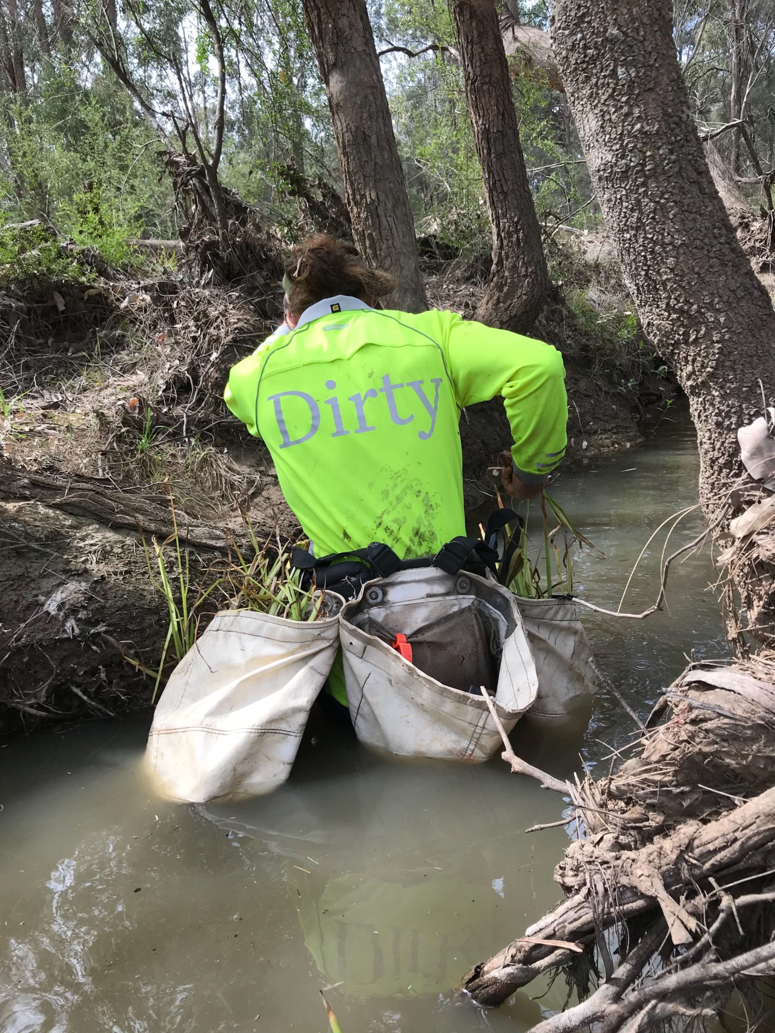 Dirty (Australia) – Tree-Planter